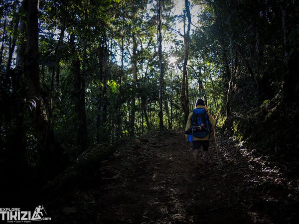 Complete Guide to Hiking Cerro Chirripo National Park, Costa Rica