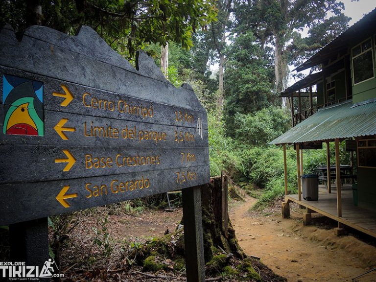 Complete Guide to Hiking Cerro Chirripo National Park, Costa Rica