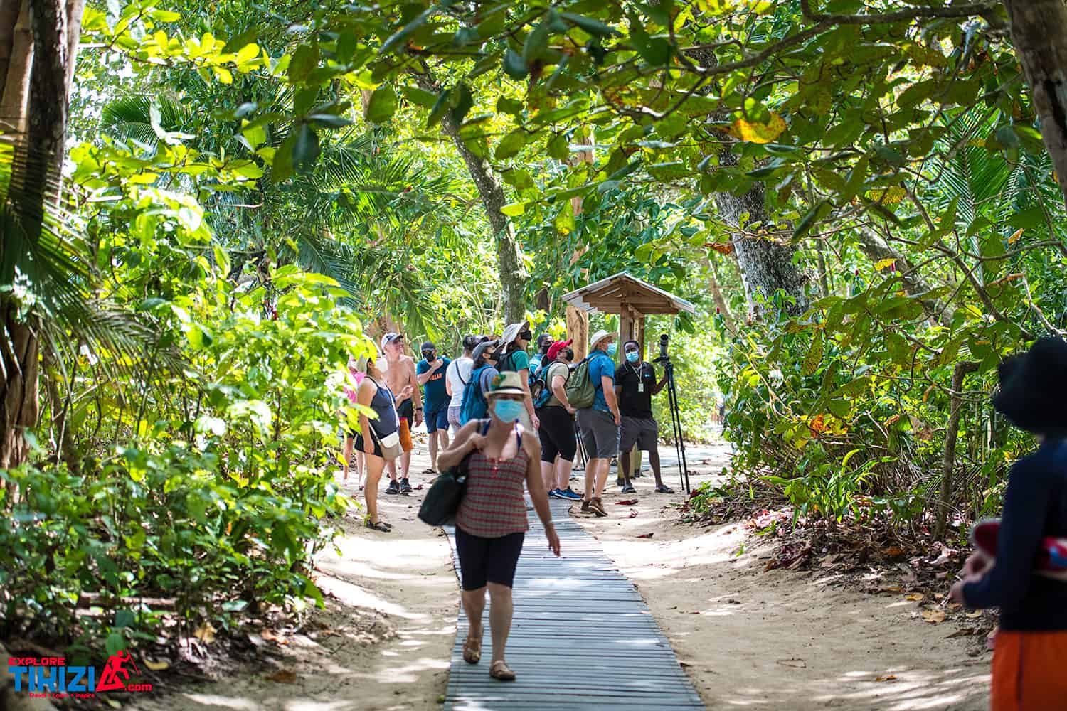 Cahuita National Park - 2021 What to know before you go - Explore Tikizia