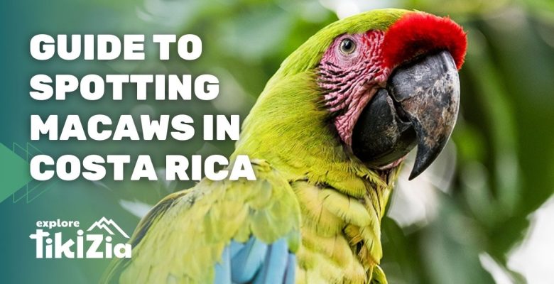 17 Most Popular Costa Rican Slang Terms - Costa Rica Travel Blog and ...